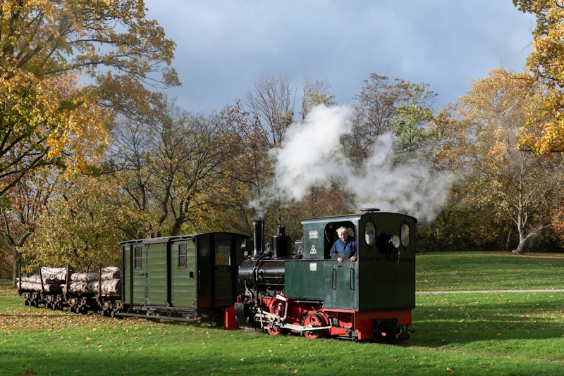 Join me for a day of wonderful narrow gauge steam and diesel action at ...